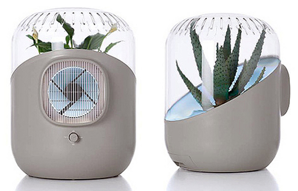 Plants As Indoor Natural Air Purifiers Urban Gardens