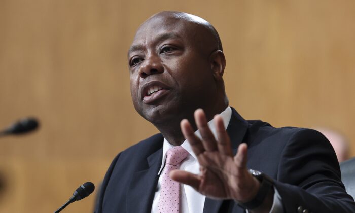 Sen Tim Scott Launches Committee For Election Usnn World News