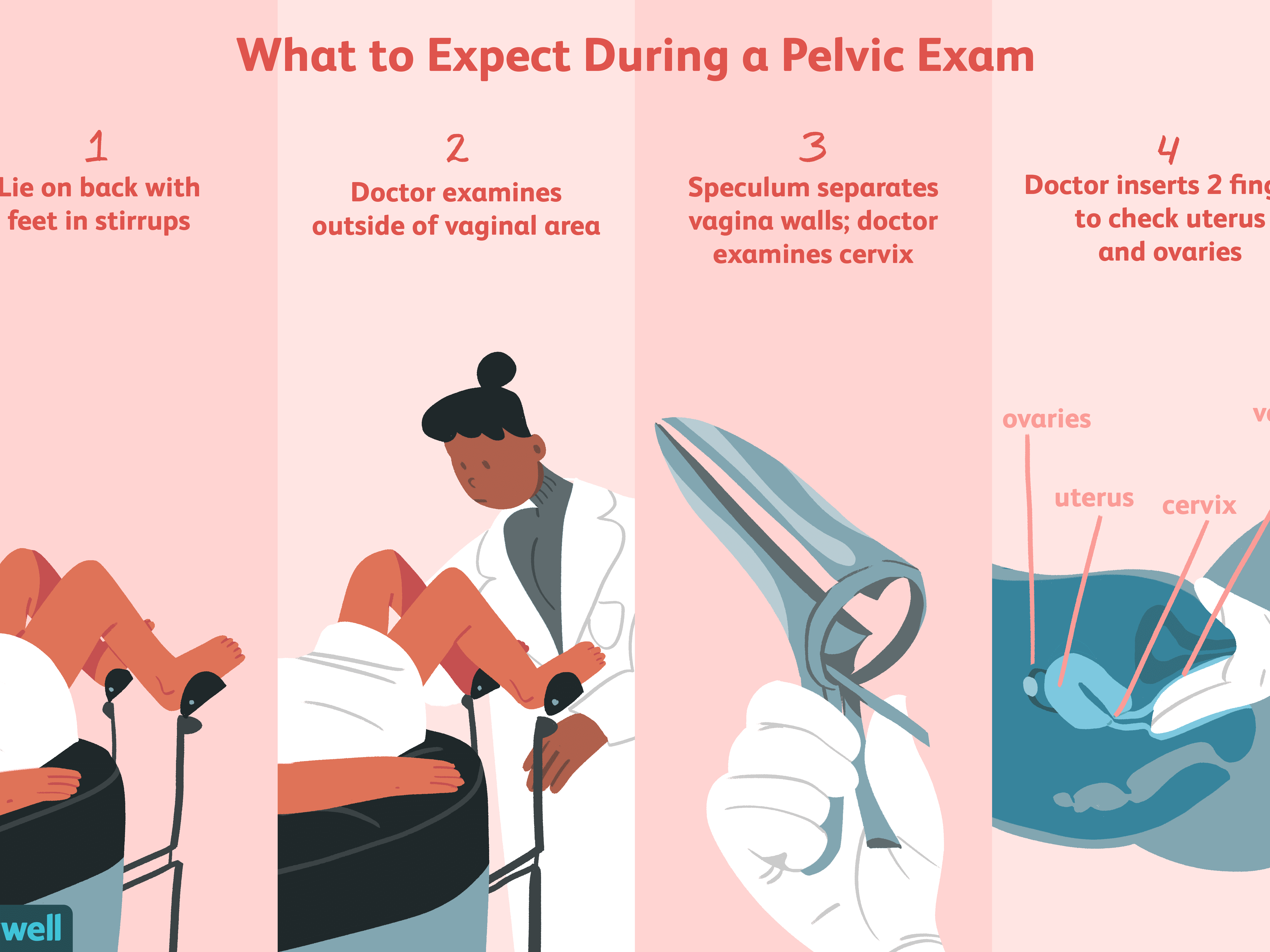 Well Woman Exam Vs Pap Smear Women Guides