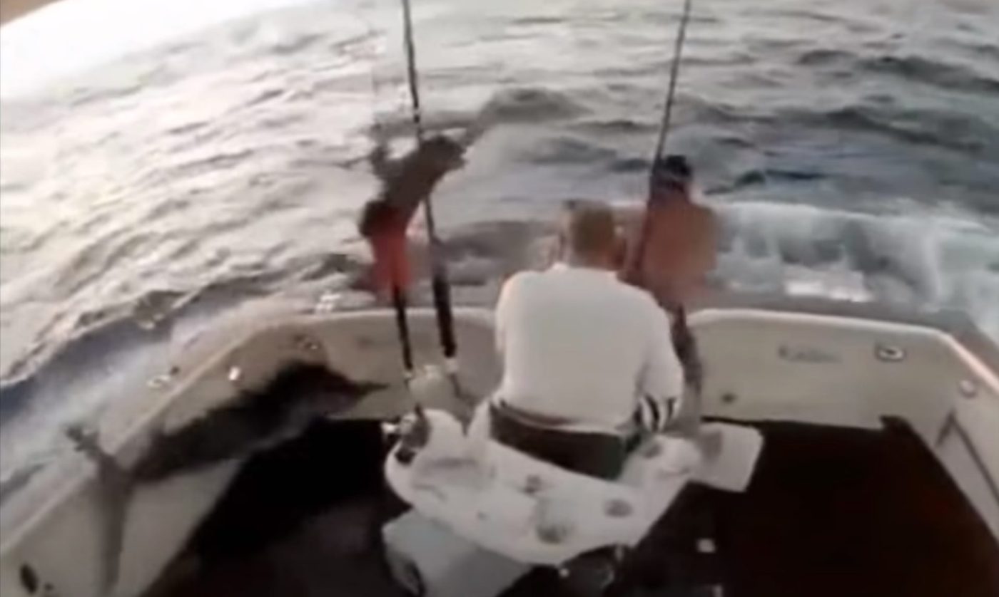 Fisherman Jump Ship When Massive Marlin Comes Flying Into The Boat