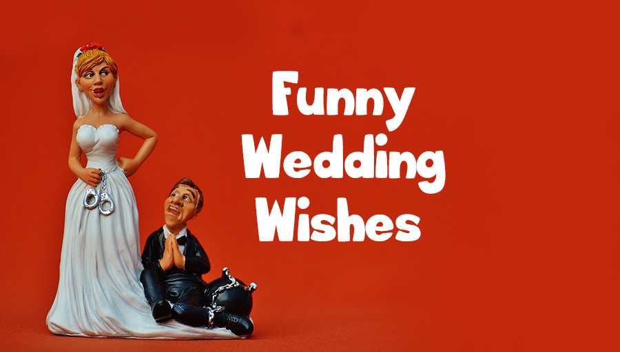 Funny Wedding Wishes Messages And Quotes Wishesmsg 2022