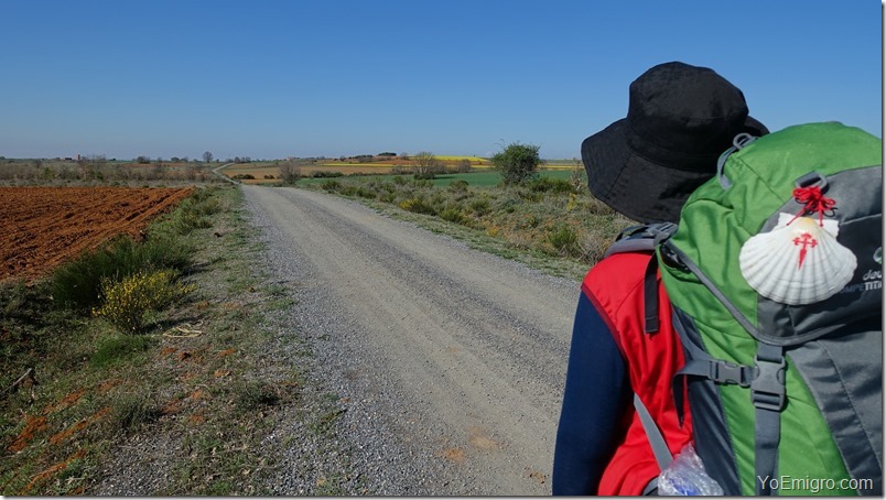 Guía Básica Para Realizar El Camino De Santiago