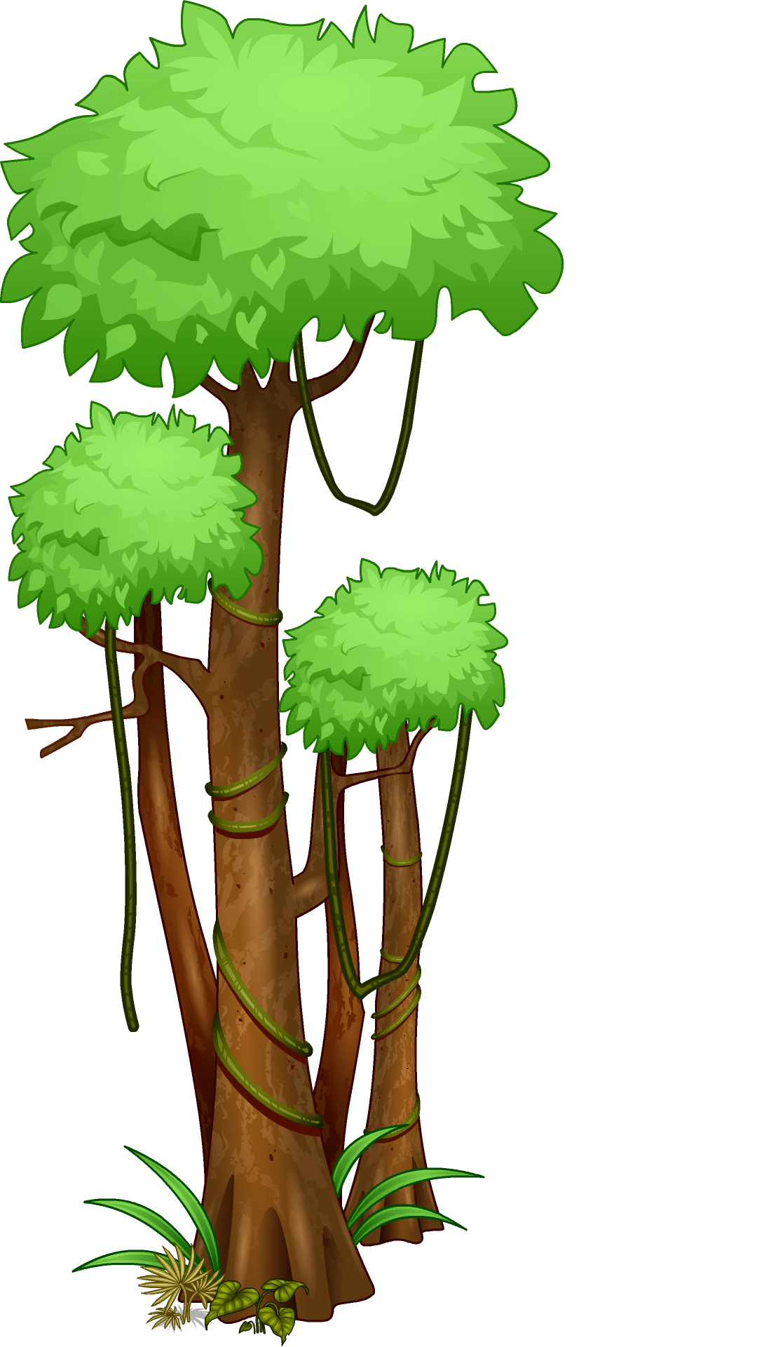 Cartoon Jungle Trees Clipart Tree Palm Jungle Trees Cartoon Vector