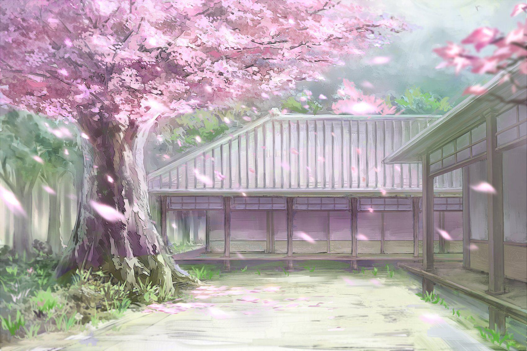 Beautiful Sakura Background Anime 41 Anime Cherry Blossom Wallpaper