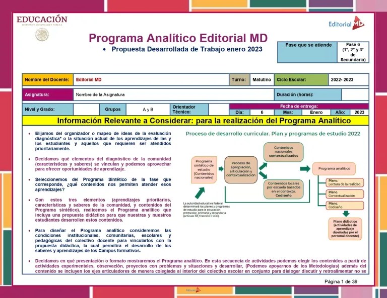 Como Elaborar Un Programa Analítico