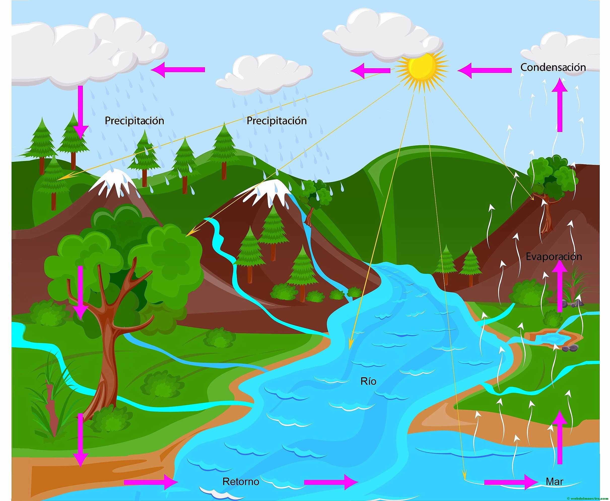 El Ciclo Del Agua Primaria