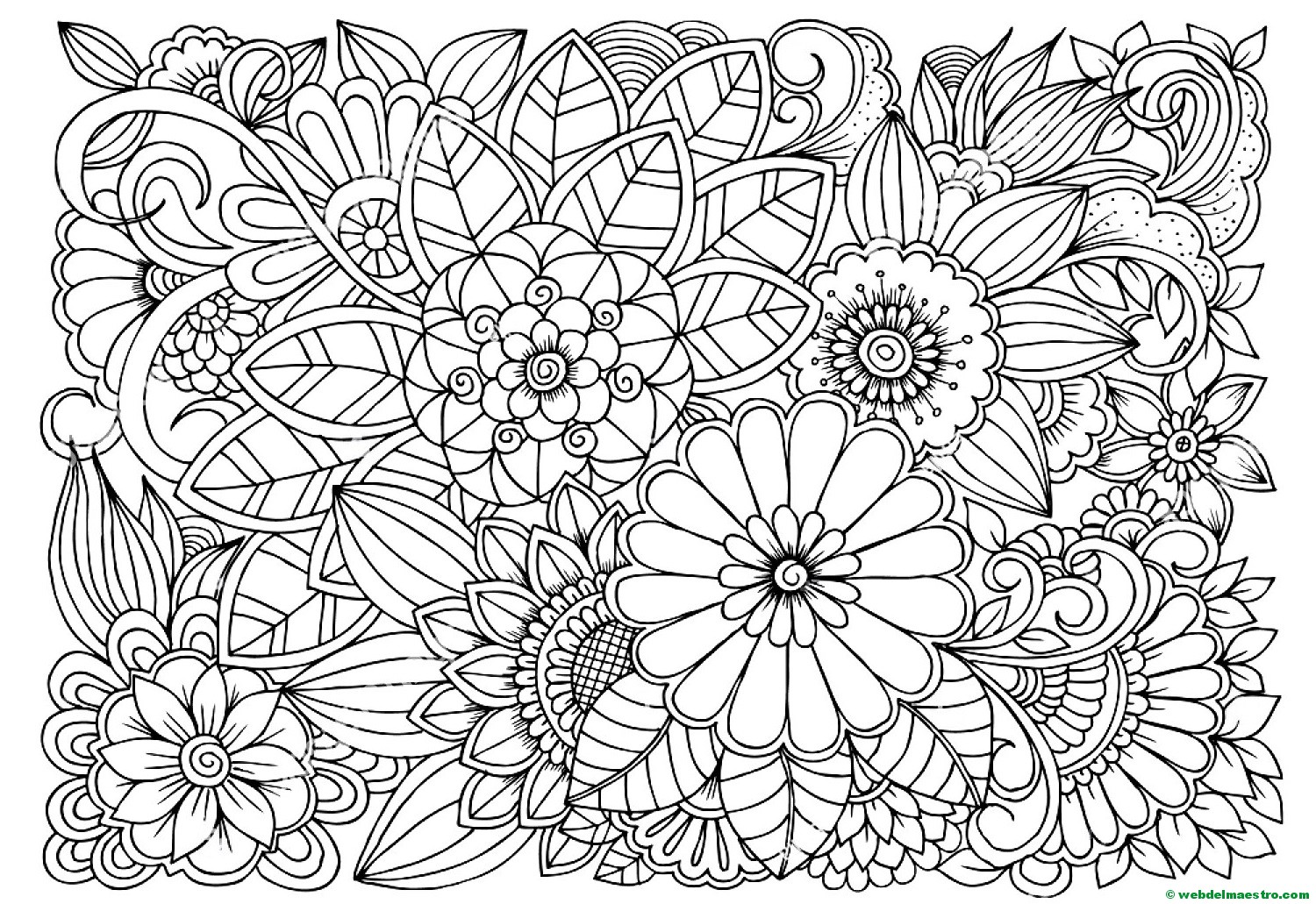 Dibujos De Flores Para Colorear Nuestra Inspiración