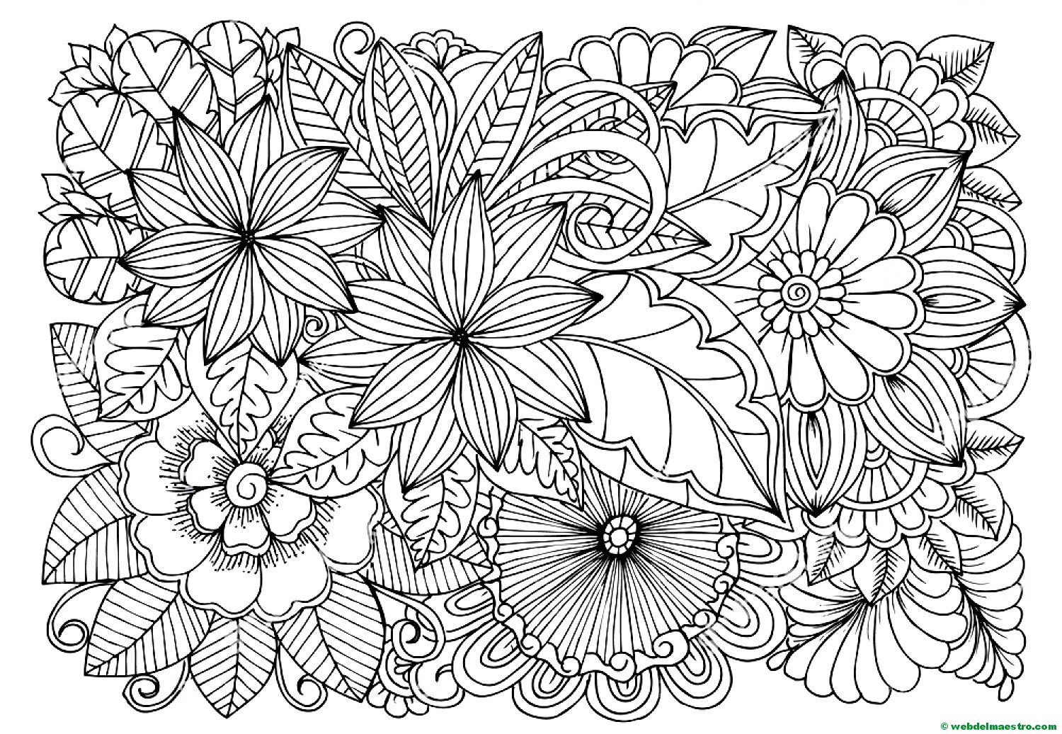 Flores Dibujos Para Colorear Nuestra Inspiración