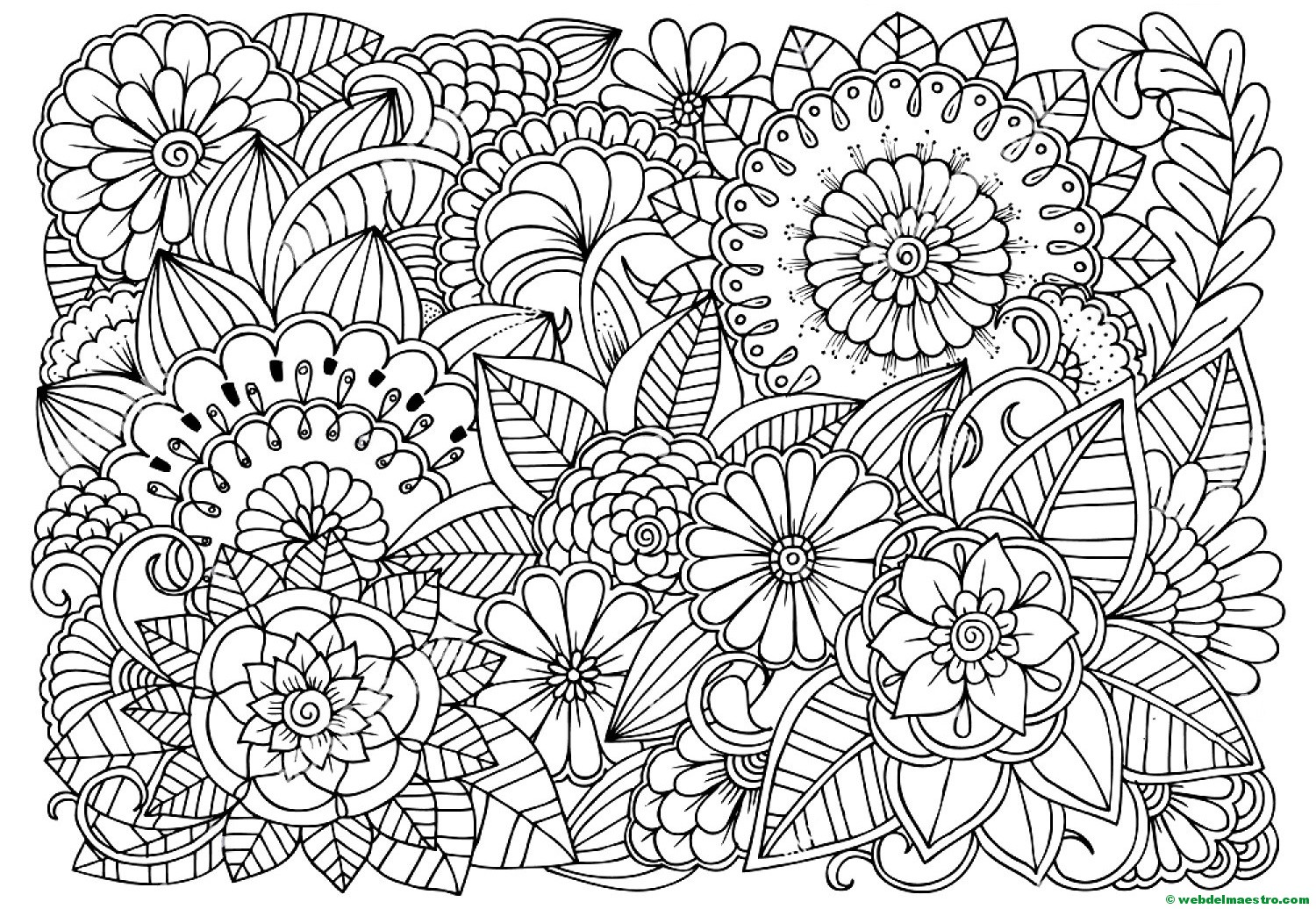 Dibujo De Flores Para Colorear 6 Web Del Maestro