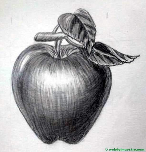 Compartir 65 Dibujar Una Manzana Con Sombras última Vn