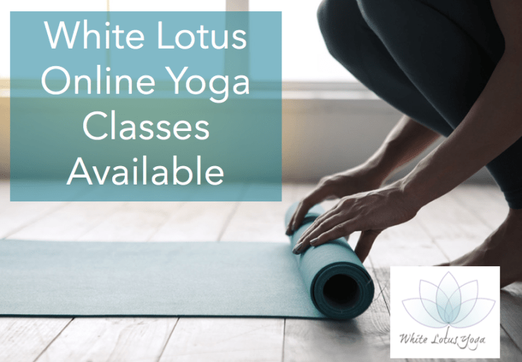 Schedule White Lotus Yoga