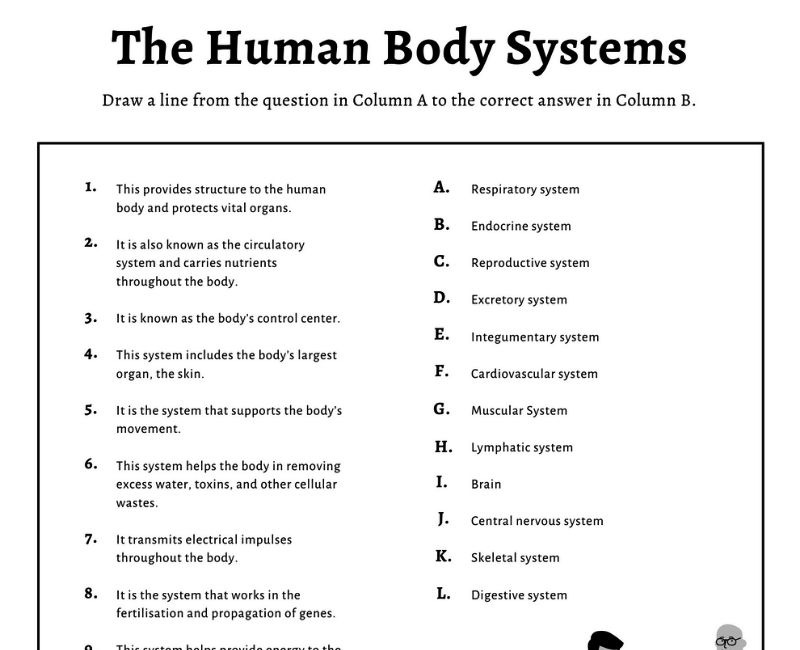 Human Body Systems Worksheet Printable Word Searches