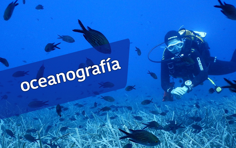 La Oceanografía Biología Estudia Maresoceanos Wikisabio