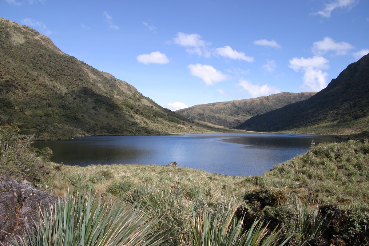 Los Humedales Los Humedales Son Extensiones De Marismas Pantanos