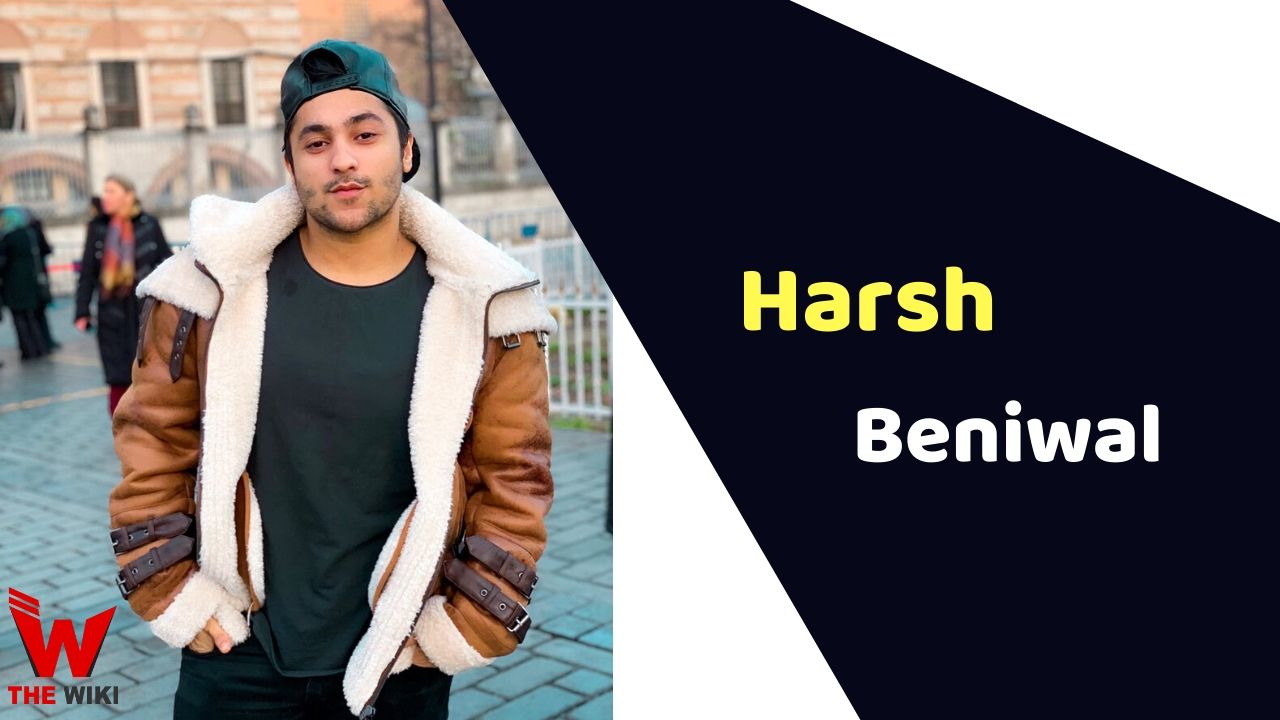 Harsh Beniwal Youtuber Height Weight Age Income Biography And More