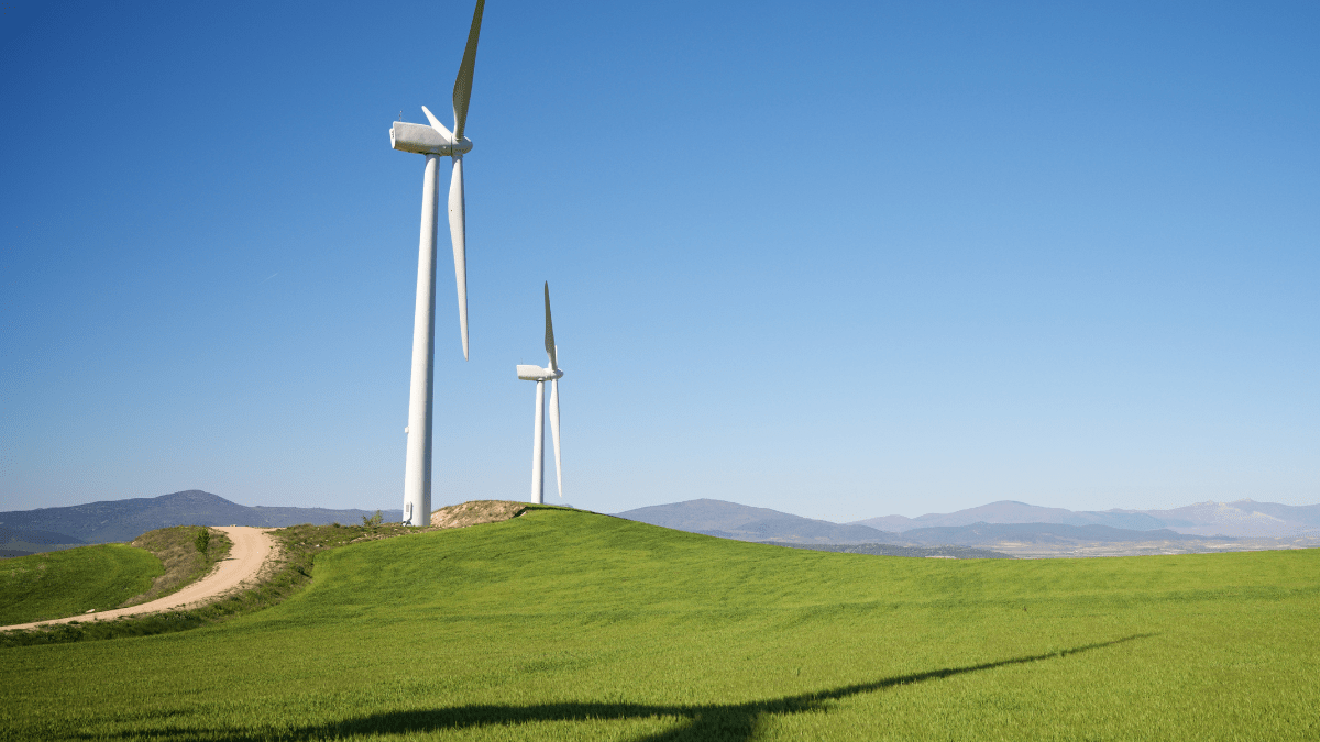 Vestas Wins 243 Mw Order For V163 45 Mw Wind Turbines In The Usa