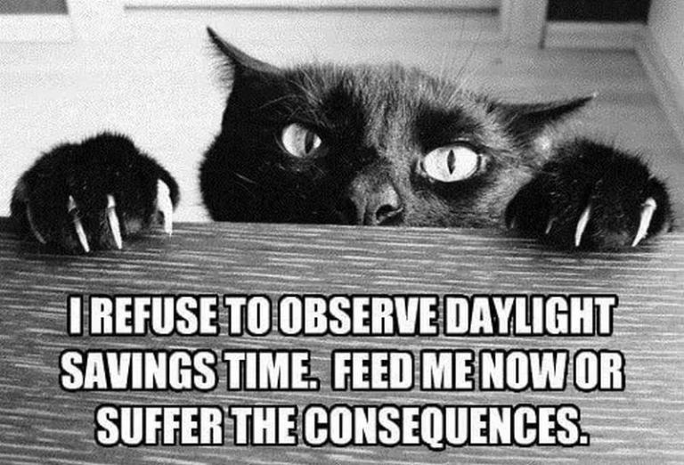 30 Funny Daylight Savings Memes To Spring Forward And Fall Back