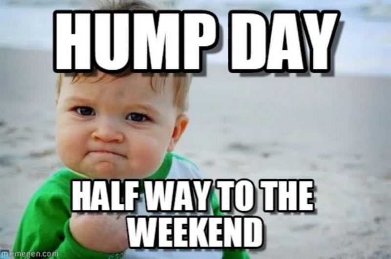 59 Happy Hump Day Memes