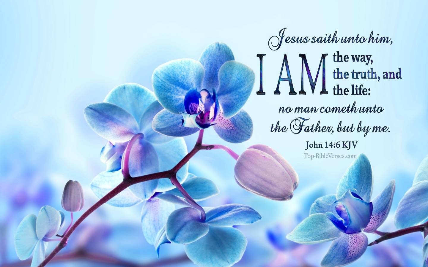 John 146 Kjv Desktop Wallpapers Bible Verse Wallpapers