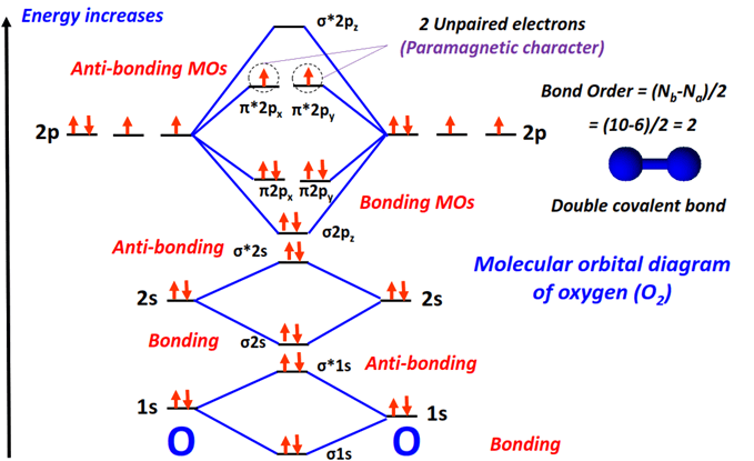 Molecular Orbital Diagram For O2 O2 O22 O22 O2 And Bond Order