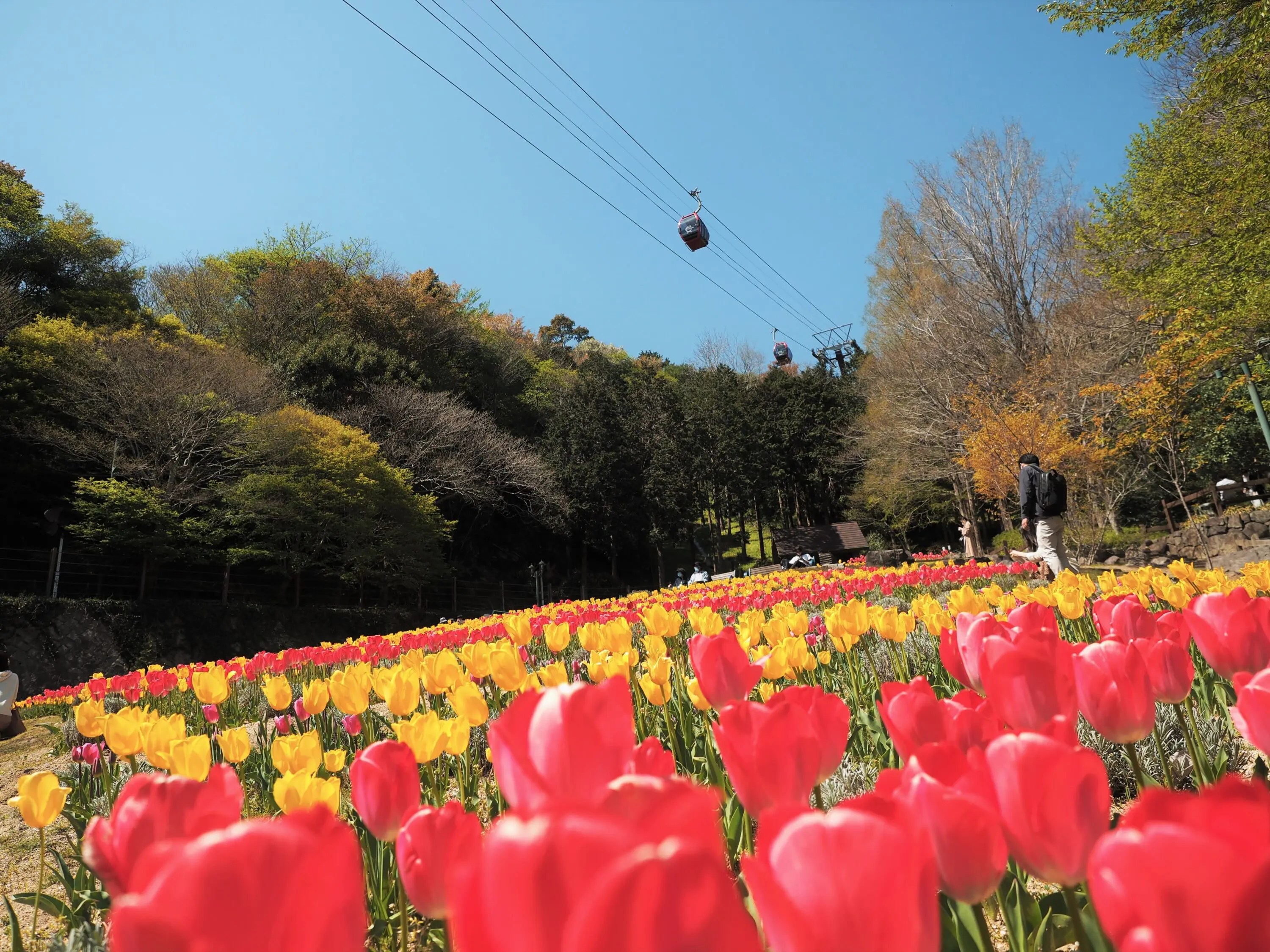 神戸布引ハーブ園