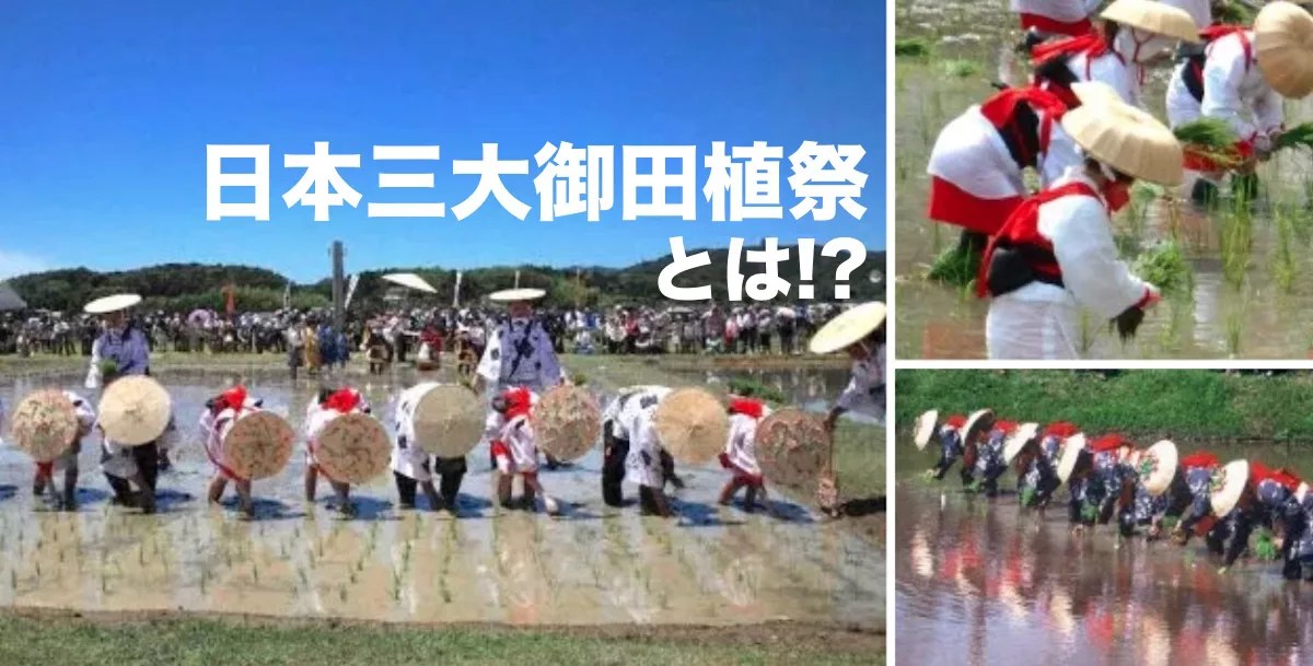 日本三大御田植祭とは