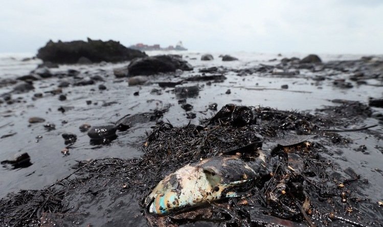 Taiwans North Coast Polluted By Oil Spill Taiwan English News