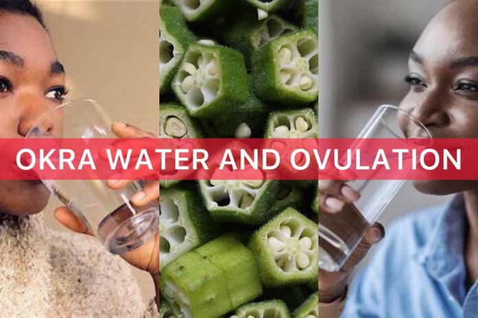 How African Women Use Okra Water To Boost Ovulation Talkafricana