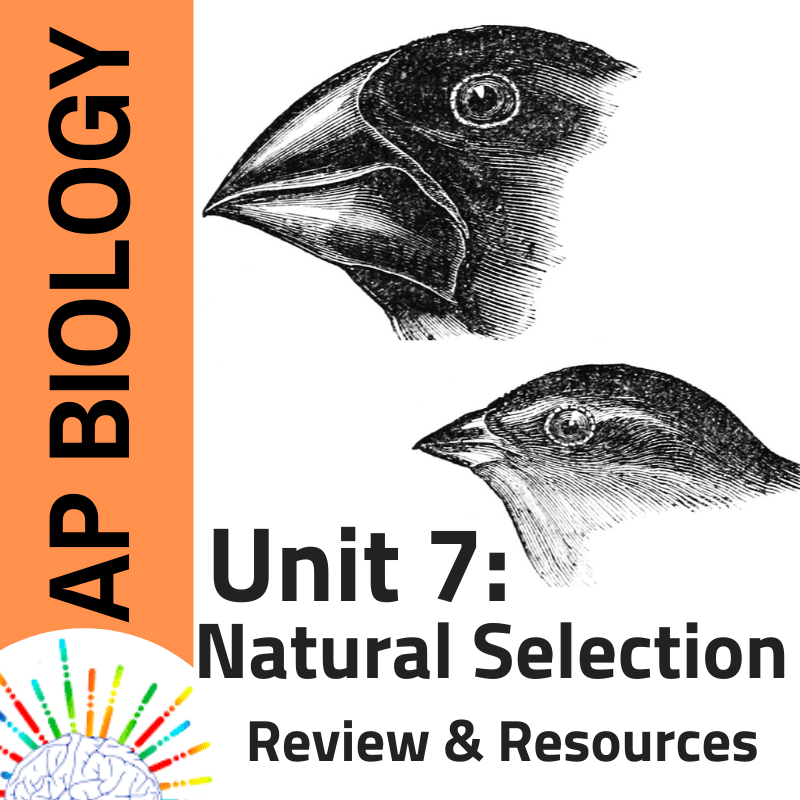 Ap Biology Unit 7 Review Resources Natural Selection And Evolution