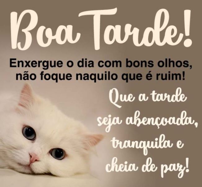 35 Imagens Com Lindas Mensagens De Boa Tarde Para Whatsapp