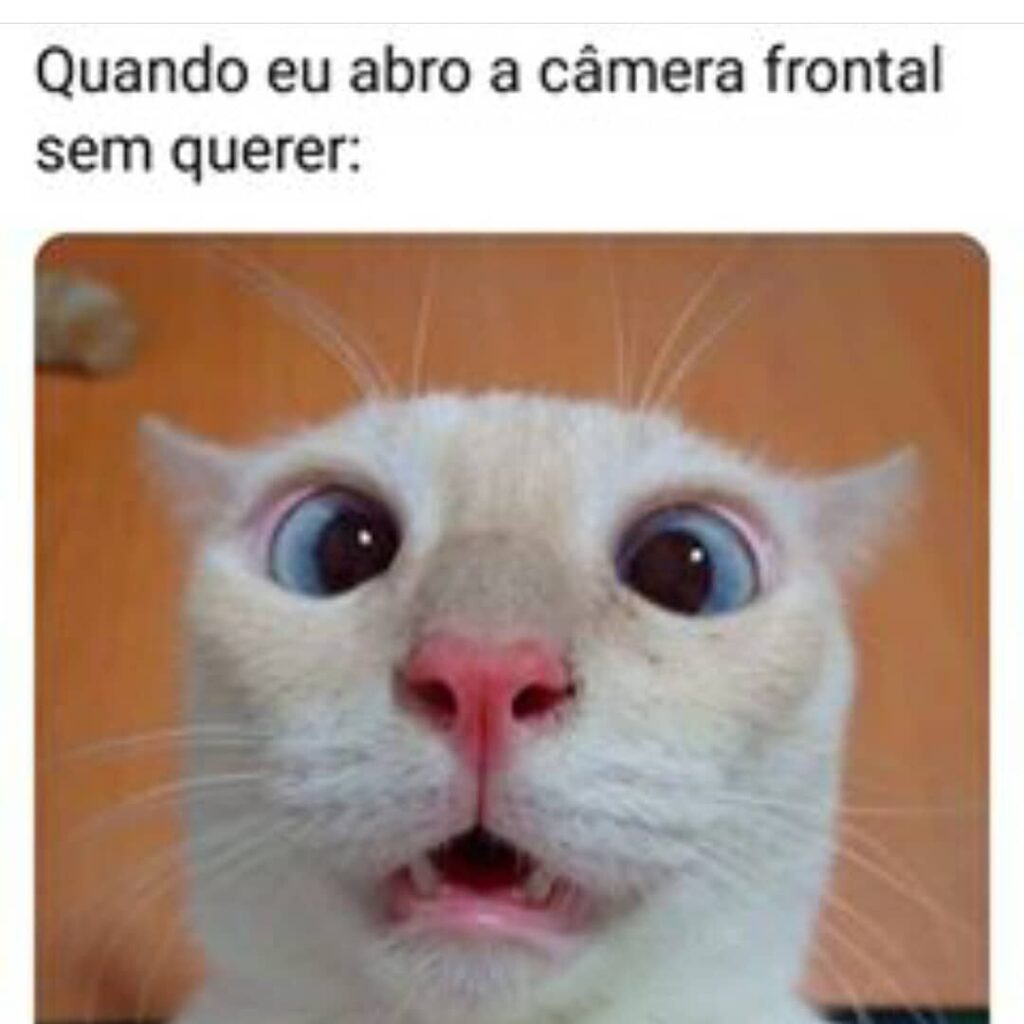 50 Imagens Com Memes Engraçados Para Whatsapp Copilado Top