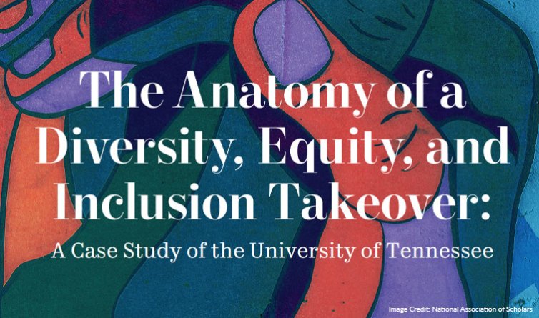 Diversity Equity And Inclusion Take Over The University Of Tennessee