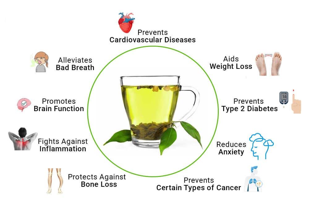 Health Benefits Of Having Green Tea Thakarshi Tea Processors