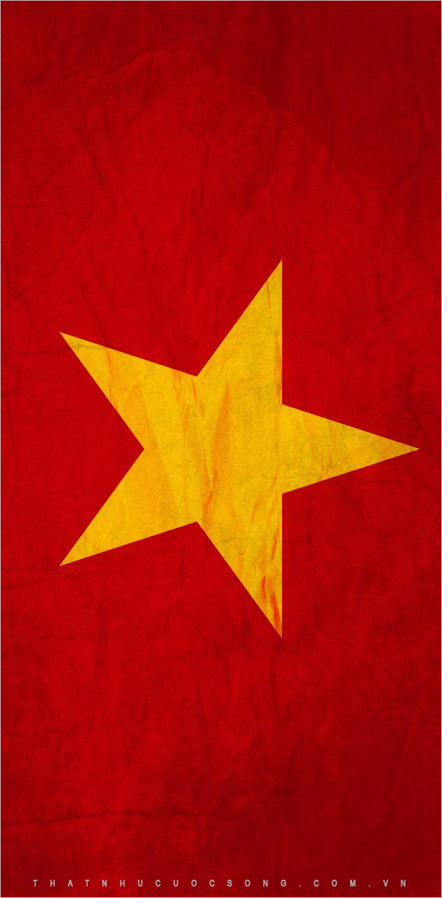 Bộ Sưu Tập Hình Nền Đất Nước Việt Nam Siêu Đẹp Với Hơn 999 Tấm 4k Chất