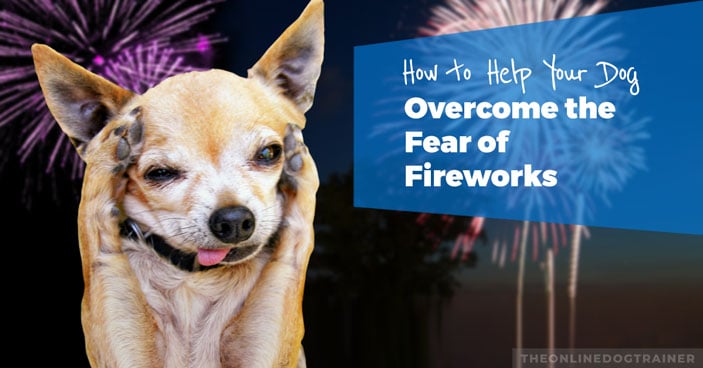 Dog Training Tips How To Help Your Dog Over The Fear Of Fireworks