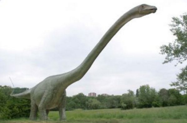 The Top 10 Largest Dinosaurs Ever To Have Lived