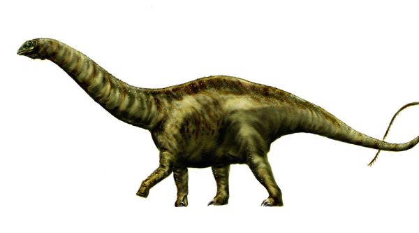 The Top 10 Largest Dinosaurs Ever To Have Lived