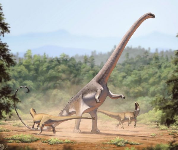 The Top 10 Largest Dinosaurs Ever To Have Lived