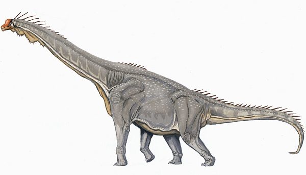 Ten Of The Worlds Tallest Dinosaurs That Ever Lived
