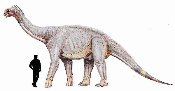 Ten Of The Worlds Tallest Dinosaurs That Ever Lived