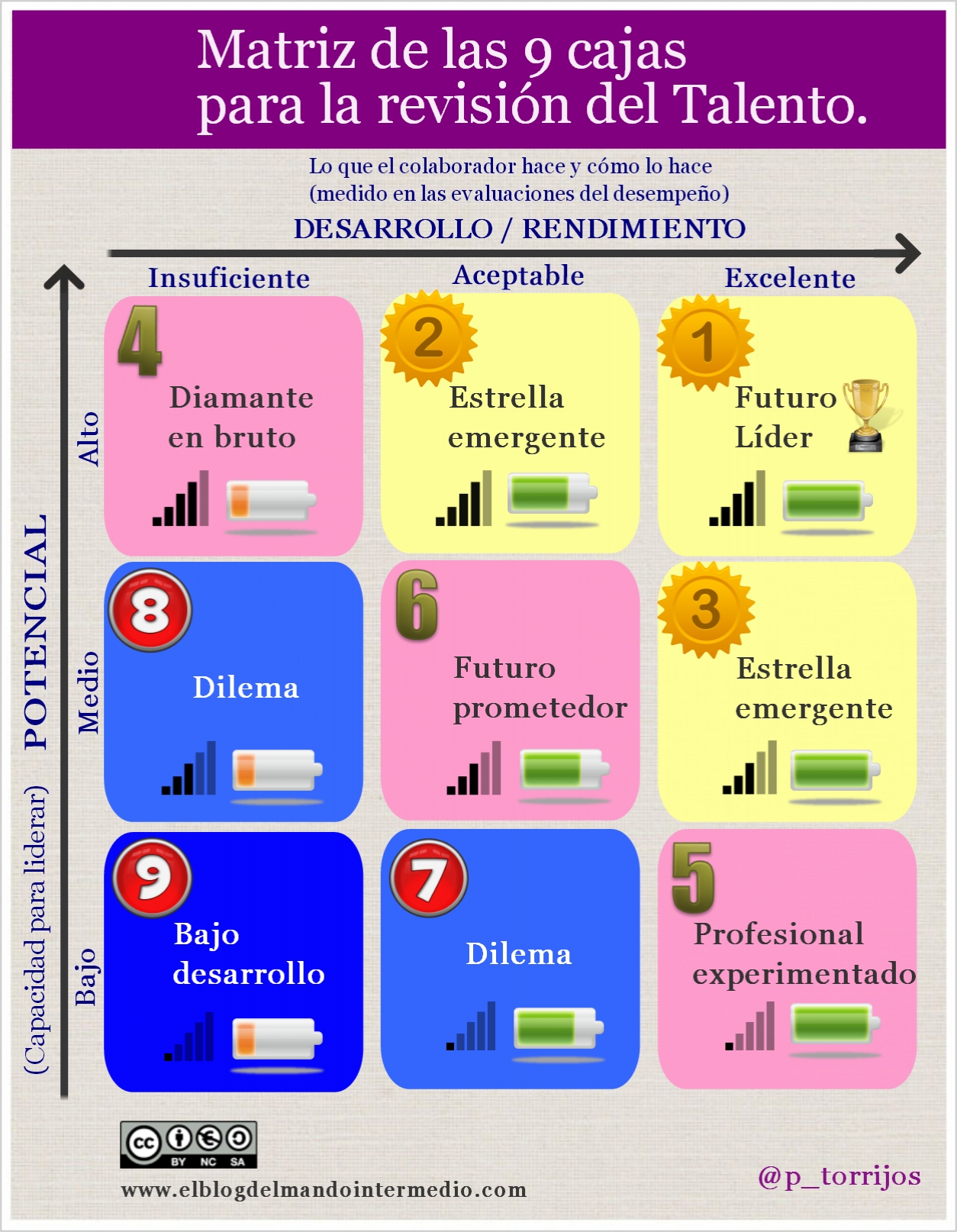 Matriz De Las 9 Cajas Para La Revisión Del Talento Infografia