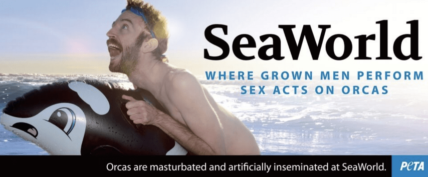 Will Petas Bizarre Sex Ad Stop People From Visiting Seaworld Times