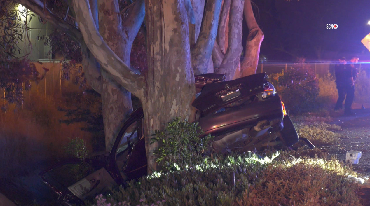 Driver Suspected Of Vehicular Manslaughter After Car Slams Into Tree