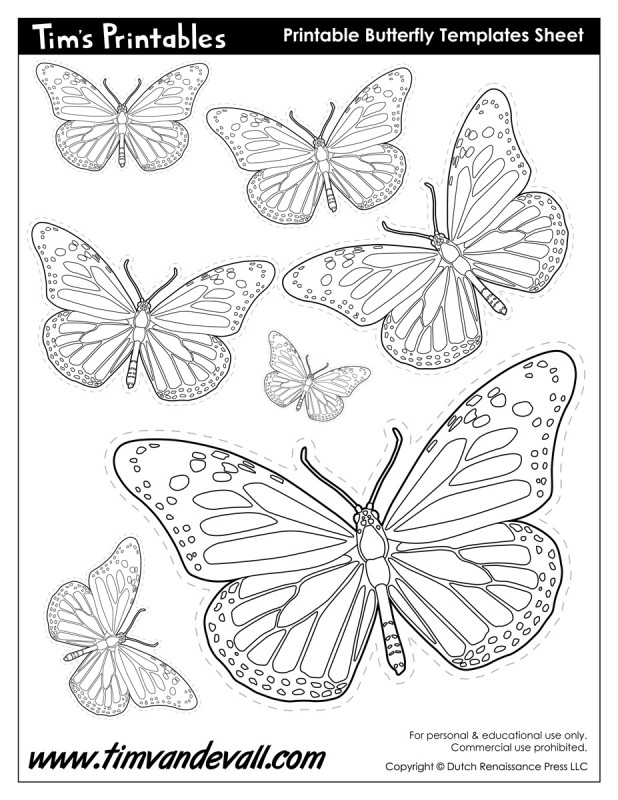 Butterfly Templates Tims Printables Free 9 Butterfly Samples In Pdf