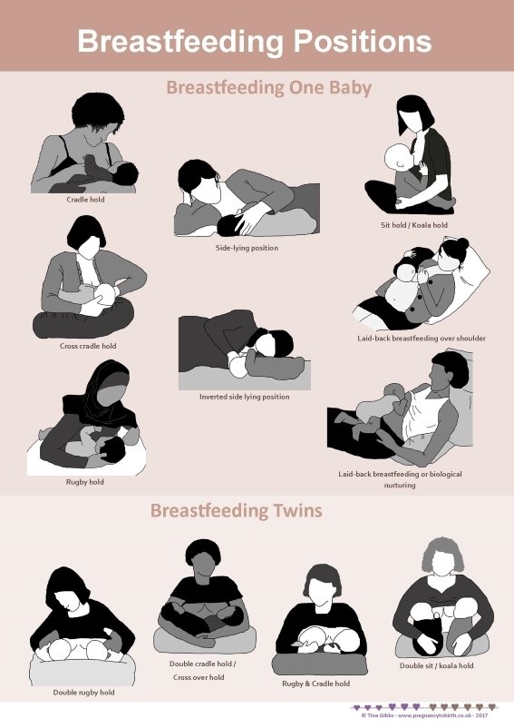 Breastfeeding Positions A2 Poster Tina Gibbs Breastfeeding Education