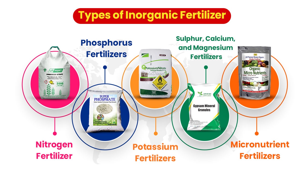 Types Of Fertilizers That Improve The Crops Health 2024