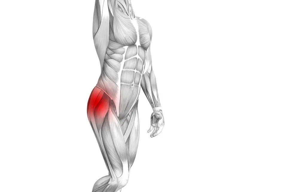 Glute Medius Massage An Effective Trigger Point Relief Technique