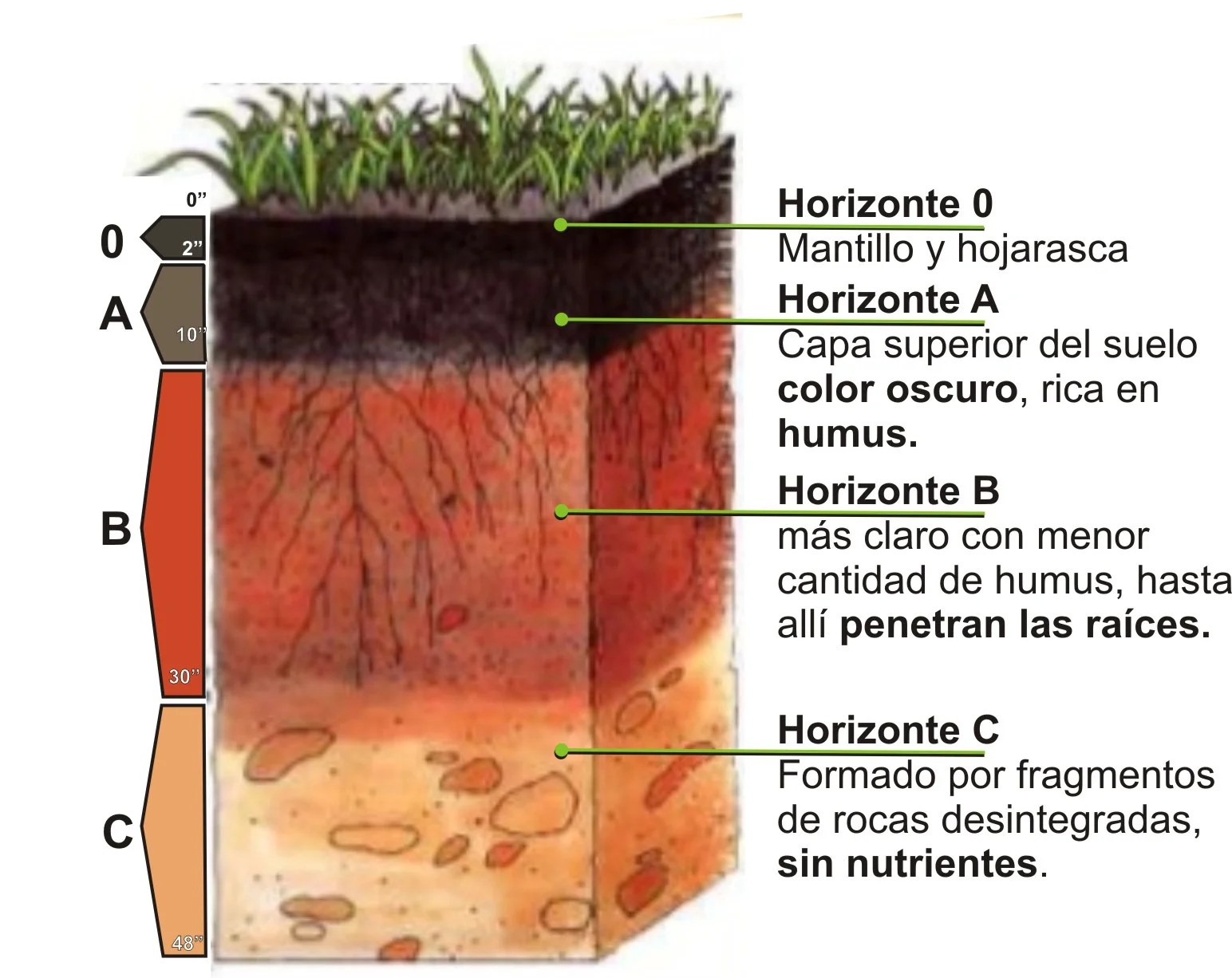 La Estructura Del Suelo Tu GuÍa De Aprendizaje