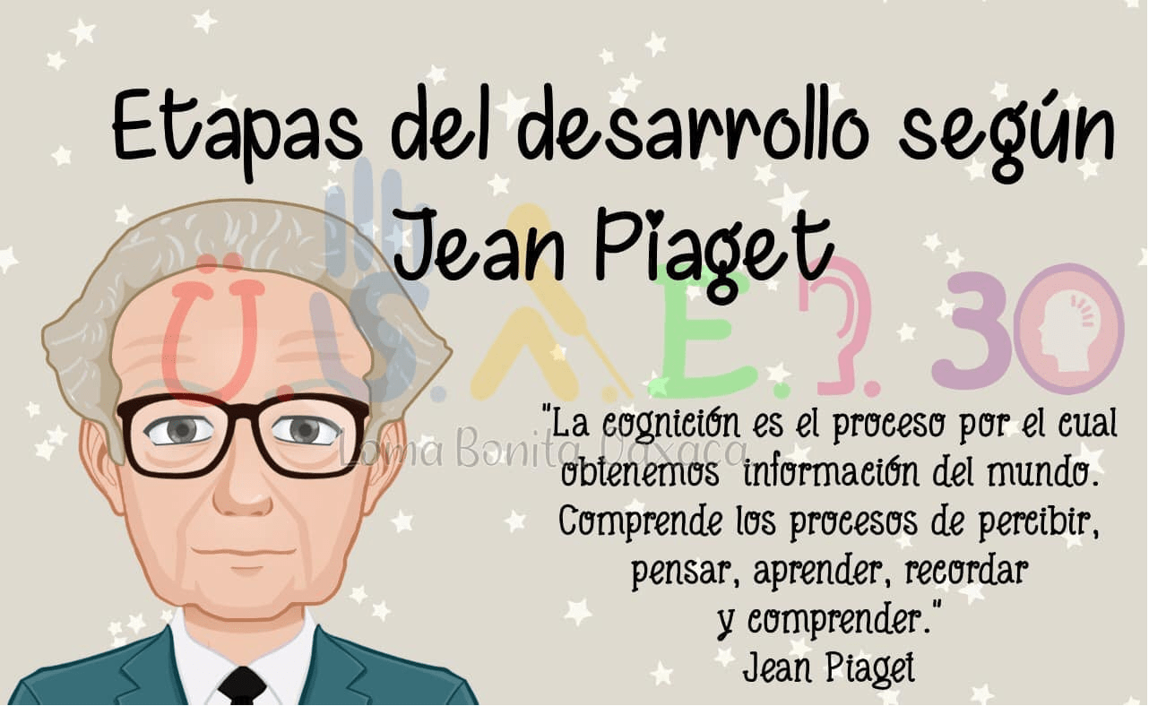 Etapas Del Desarrollo SegÚn Jean Piaget Tu Maestro