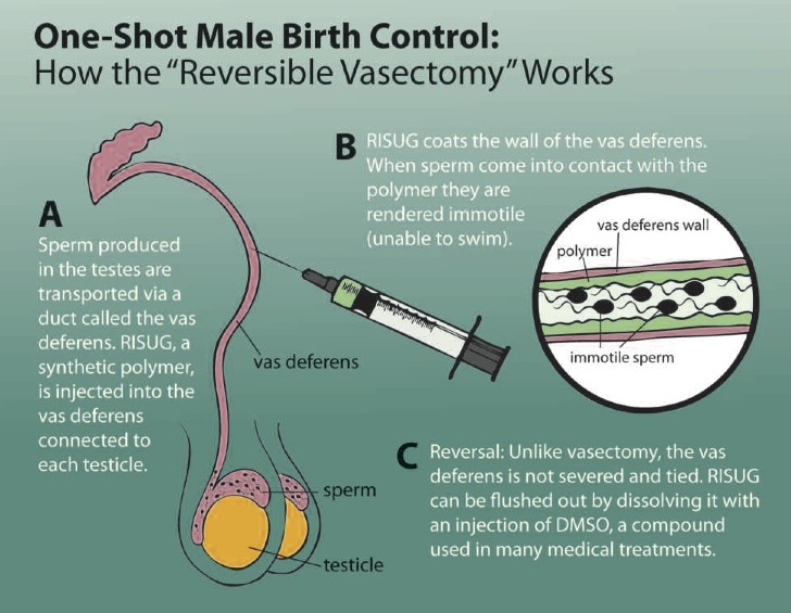 Birth Control Injection For Men Almost Ready Vaxxter